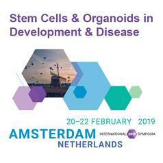 Stem Cells & Organoids in Development and Disease | Tocris Bioscience