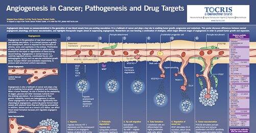 Tocris Bioscience | High Performance Life Science Reagents