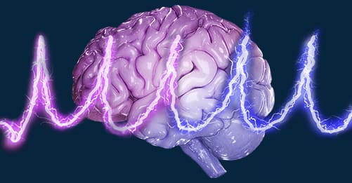 Tocris Bioscience | 高性能生命科学试剂