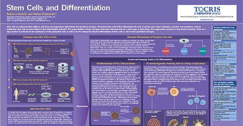 Tocris Bioscience | High Performance Life Science Reagents