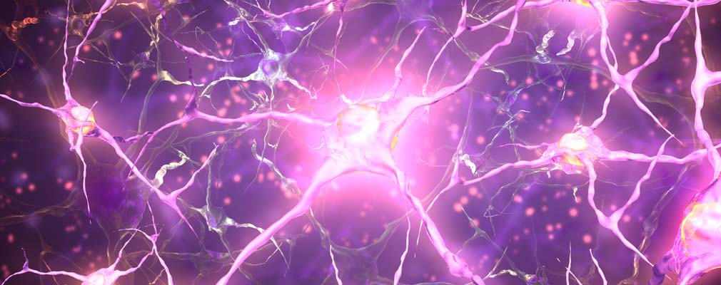 Tocris Bioscience | High Performance Life Science Reagents