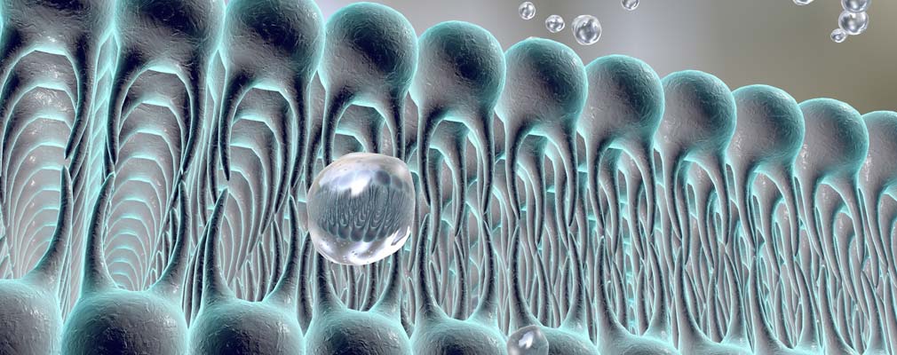 Tocris Bioscience | High Performance Life Science Reagents