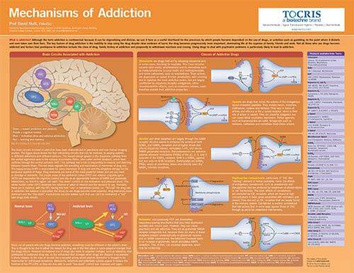 Tocris Bioscience | High Performance Life Science Reagents