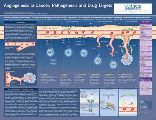 Tocris Bioscience | High Performance Life Science Reagents