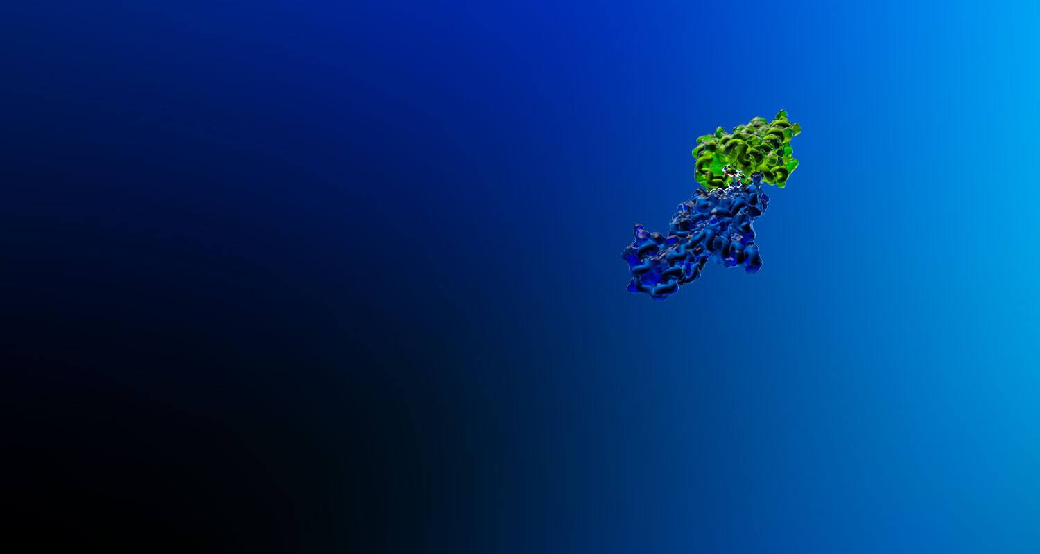 Tocris Bioscience | 高性能生命科学试剂